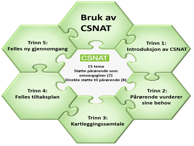 Kartlegging av pårørendes behov som omsorgsgiver - CSNAT - Oslo universitetssykehus HF